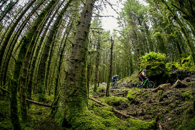 Davagh Forest trails forced to close due to damage from motor bikes - MBR