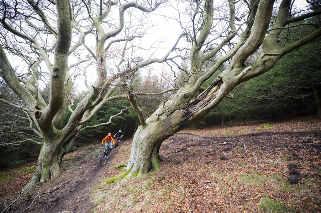 "Seminal moment in the history of mountain biking" as 130 trail groups ...