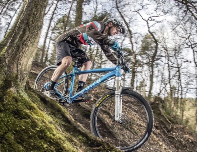 Bird Zero.3 (2015) Review - MBR