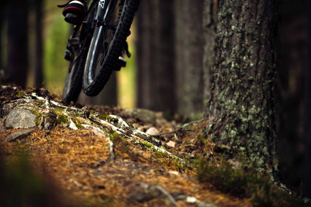 Britain's best rooty trails - MBR