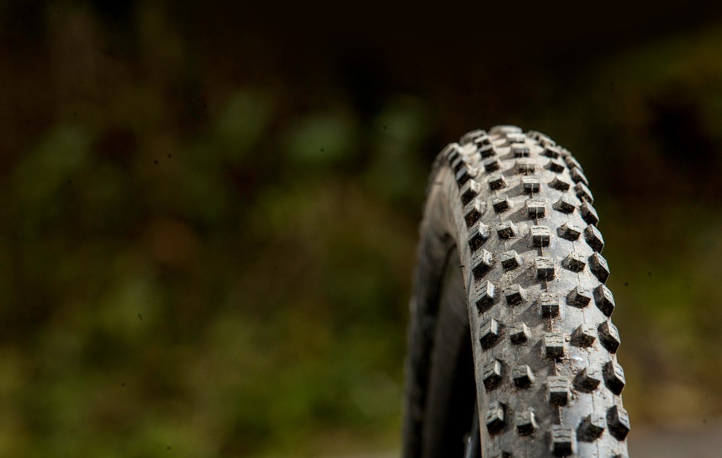 Maxxis Beaver EXO tyre review - MBR