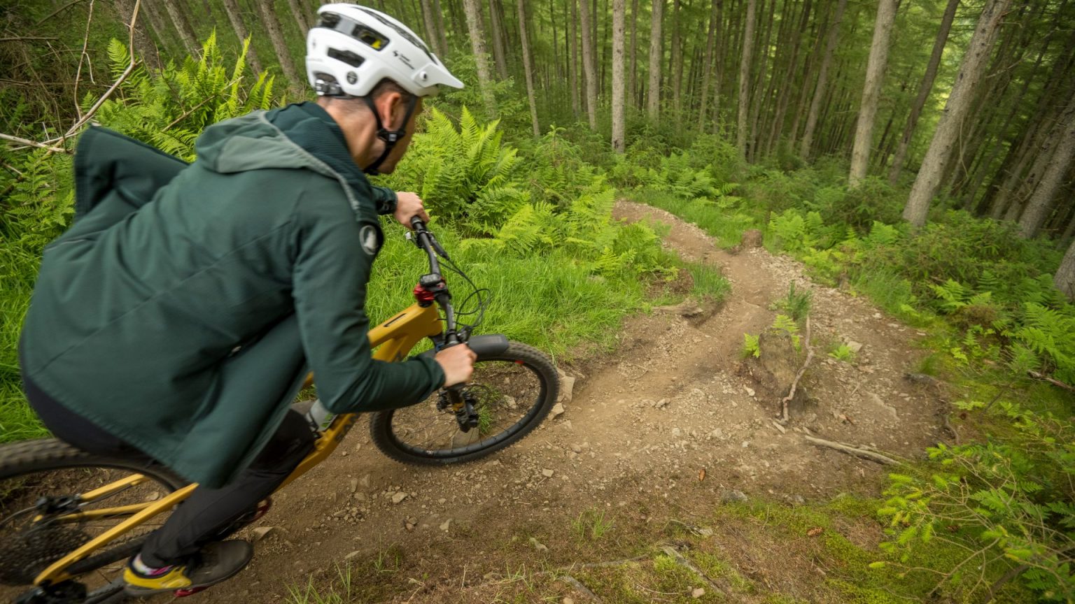 How to ride wet roots and slippery trails on a mountain bike - MBR