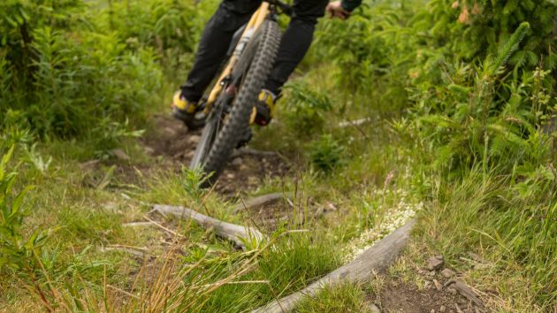 How to ride wet roots and slippery trails on a mountain bike - MBR