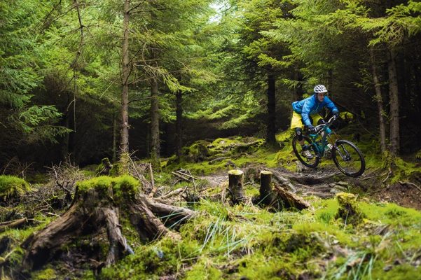 Whinlatter Forest, Lake District trail centre guide - MBR