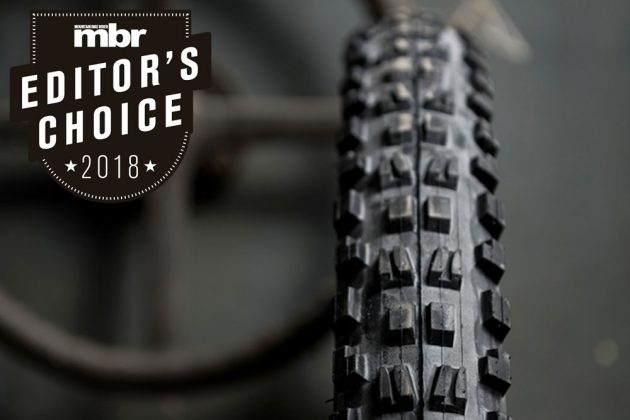 Maxxis Minion DHF 2.5in WT tyre review - MBR