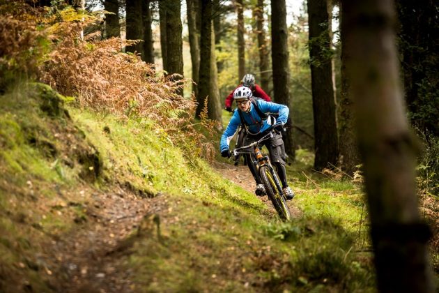 Mabie Forest, Scotland trail centre guide - MBR