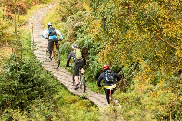 Mabie Forest, Scotland trail centre guide - MBR