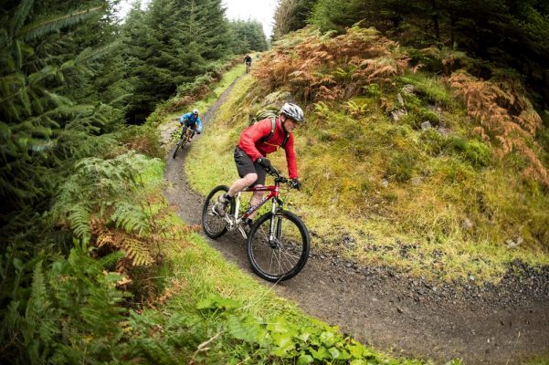 Mabie Forest, Scotland trail centre guide - MBR