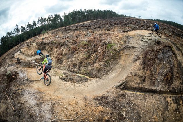 Swinley Forest trail centre guide - MBR