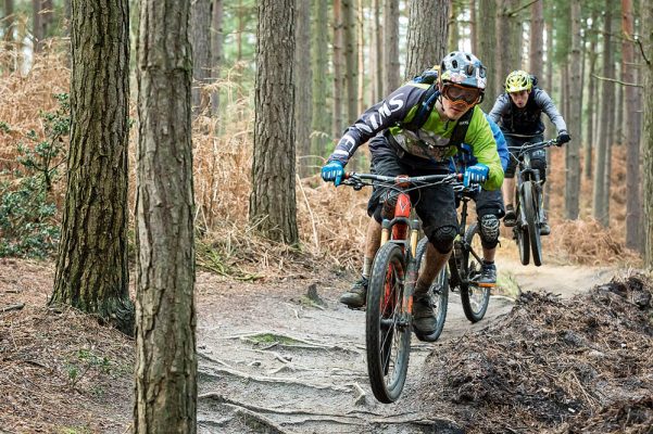 Swinley Forest trail centre guide - MBR
