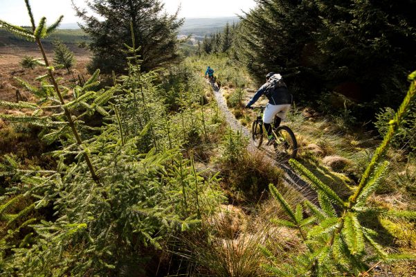 Kielder Forest, Northumberland trail centre guide - MBR