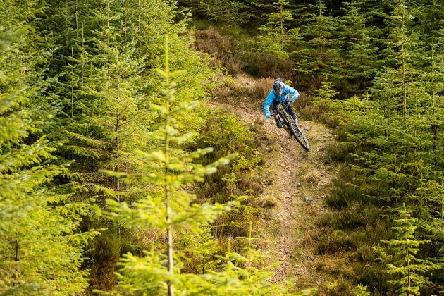 Kielder Forest, Northumberland trail centre guide - MBR