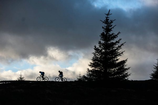 Kielder Forest, Northumberland trail centre guide - MBR