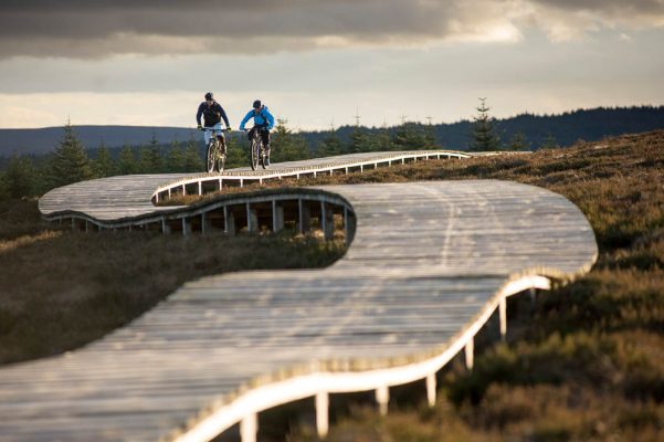 Kielder Forest, Northumberland trail centre guide - MBR