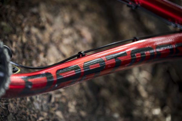 Dartmoor Hornet first ride - MBR