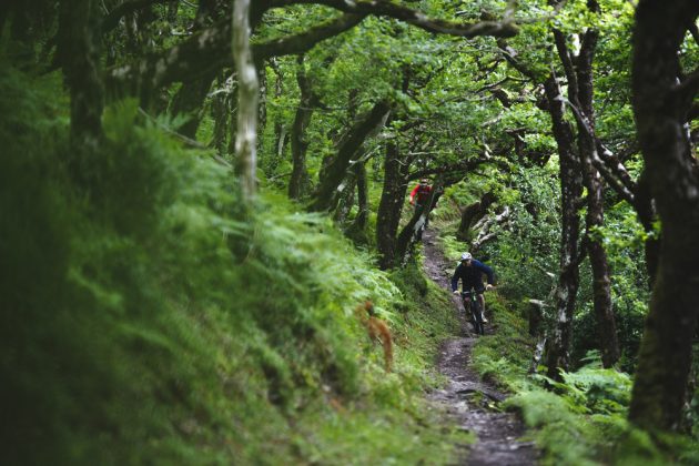 Exmoor Killer Loop route, 36km - MBR