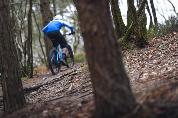 Best of British: Whyte - MBR