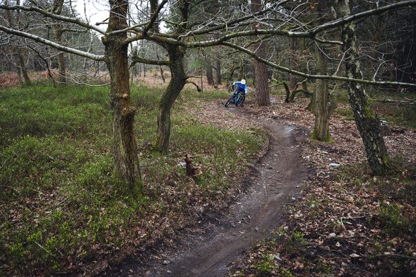 Best of British: Whyte - MBR