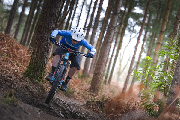 Best of British: Whyte - MBR