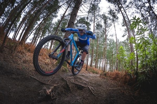 Best of British: Whyte - MBR