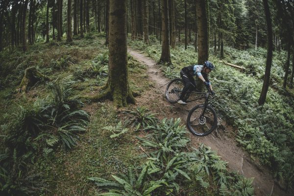 Best down country mountain bikes reviewed and rated by experts - MBR