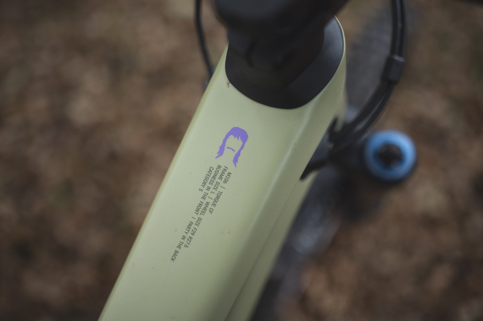 Canyon Torque CF8 review: smooth in the rough, playful on flow - MBR