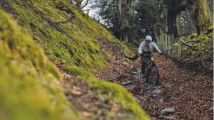 Nukeproof Scout 290 V3 hardtail first ride review - MBR