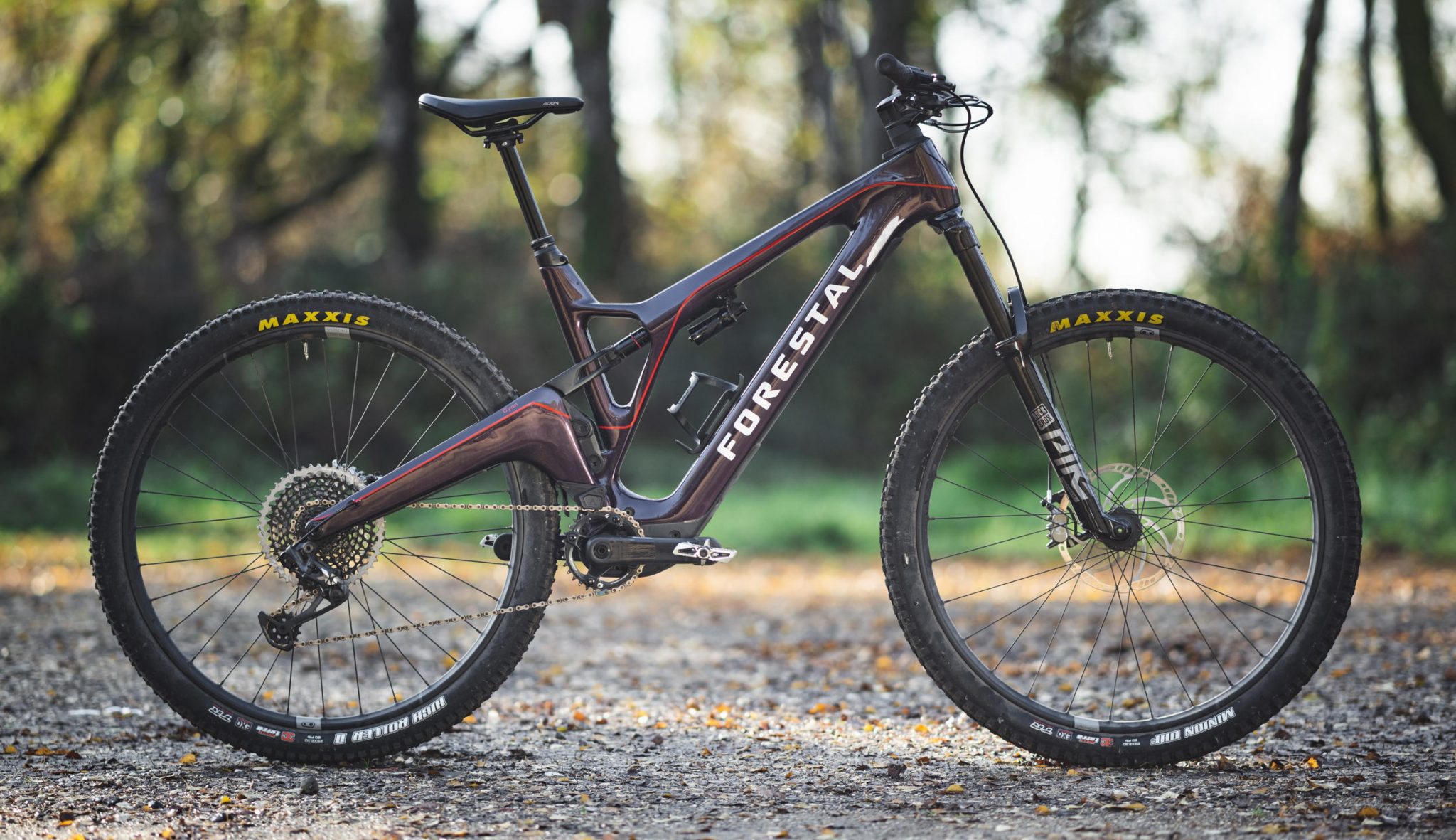 Forestal Cyon Neon e-bike review - MBR