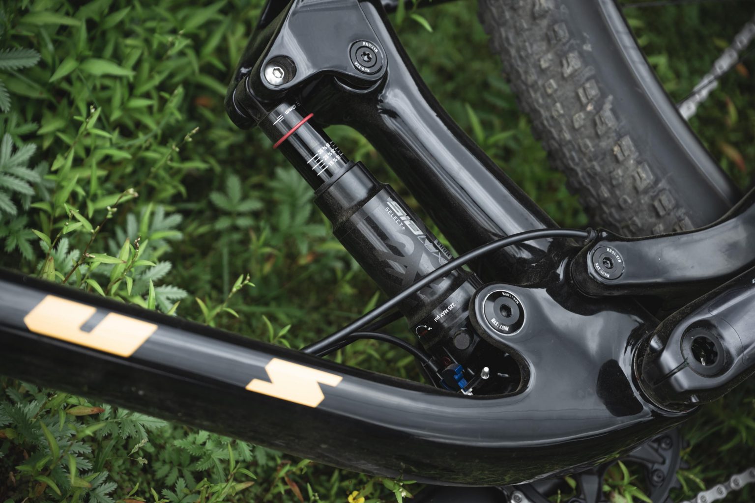 Vitus Rapide FS CRX review - MBR