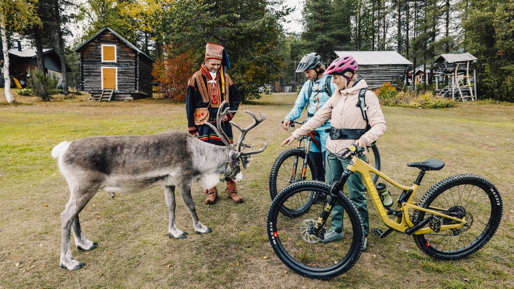 Northern lights, reindeer, sauna and incredible autumn colours: a ...