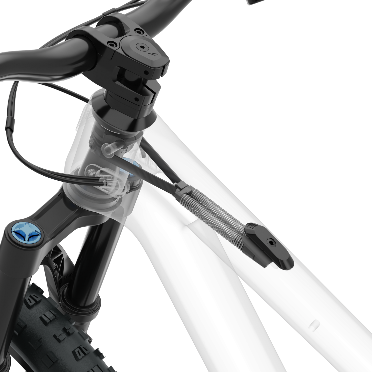 Canyon Spectral CF 8 K.I.S. first ride review - MBR