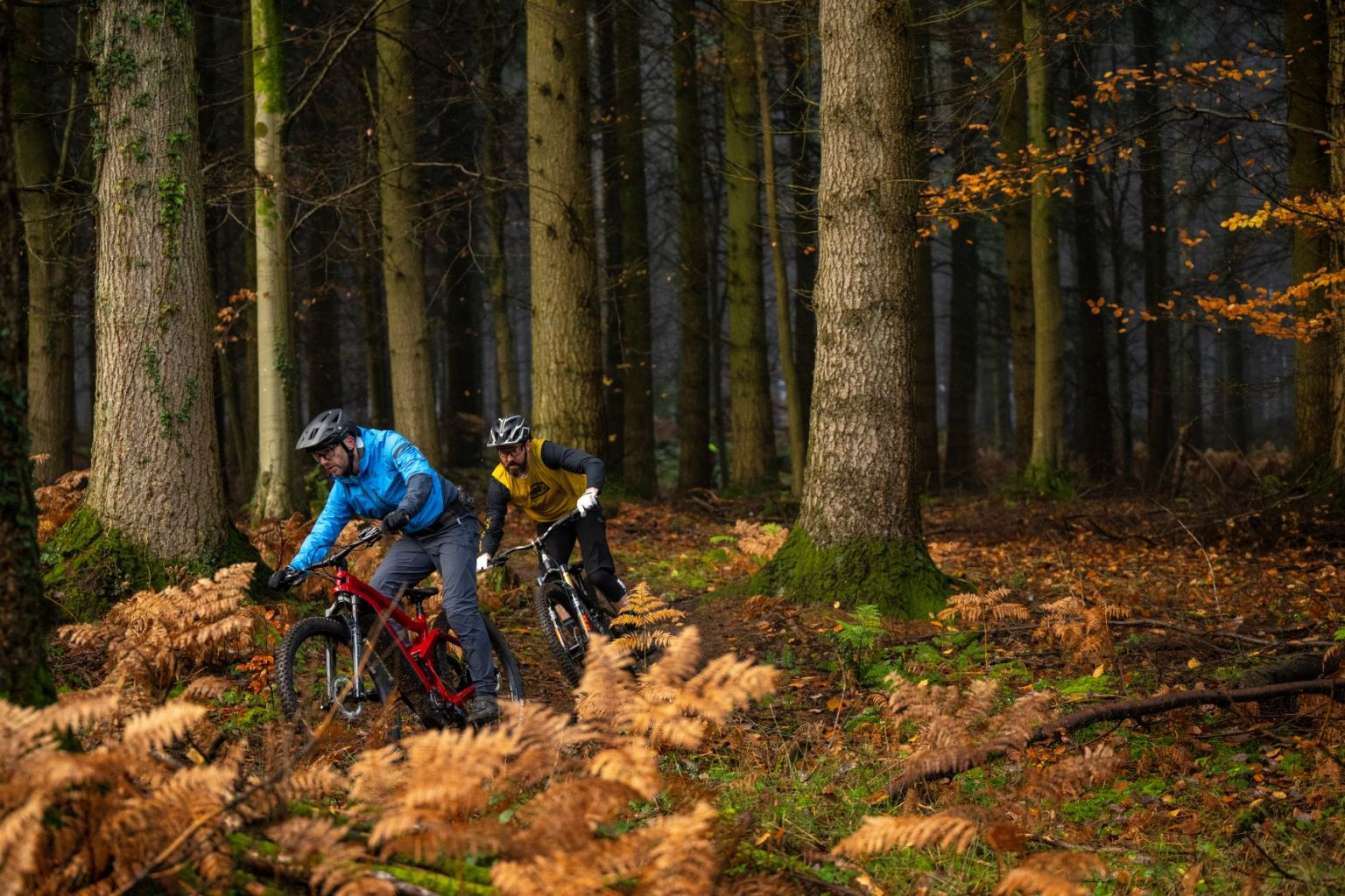 The Forestry challenges mountain bikers to ride 450 miles this summer ...