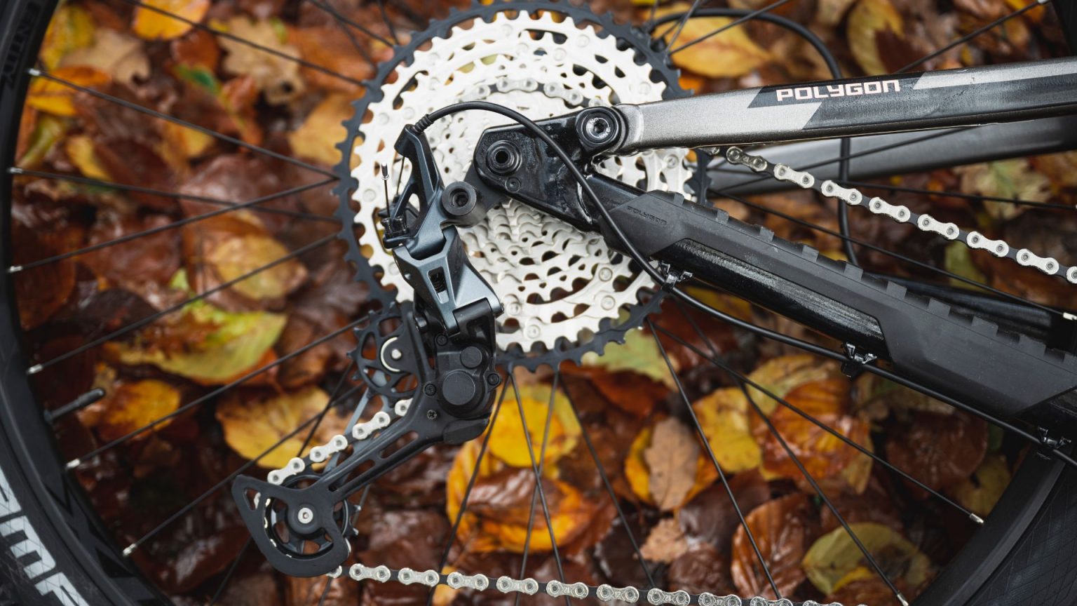 Polygon Siskiu T8 29 review - MBR