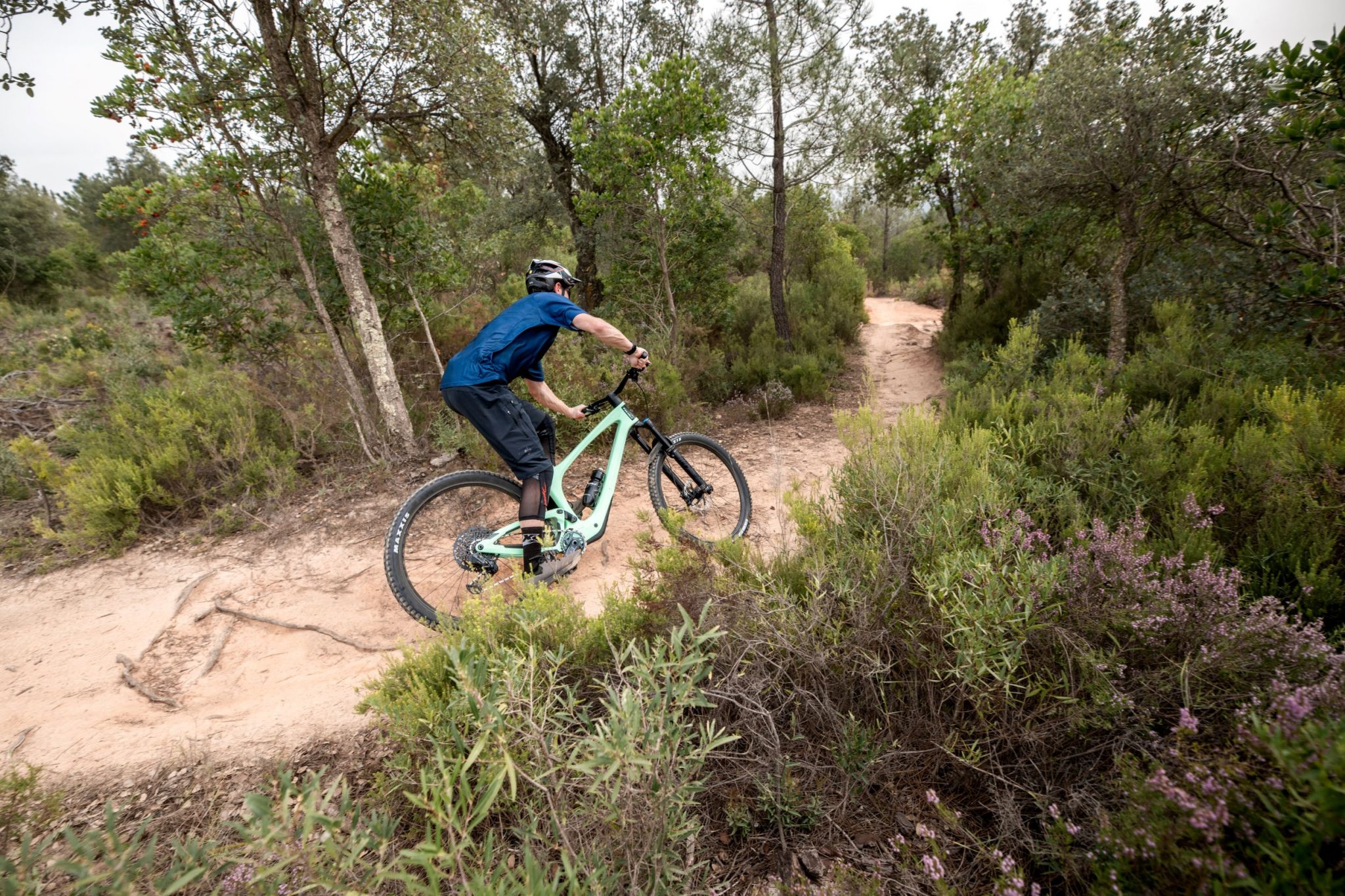 Bold Unplugged Pro first ride review - MBR