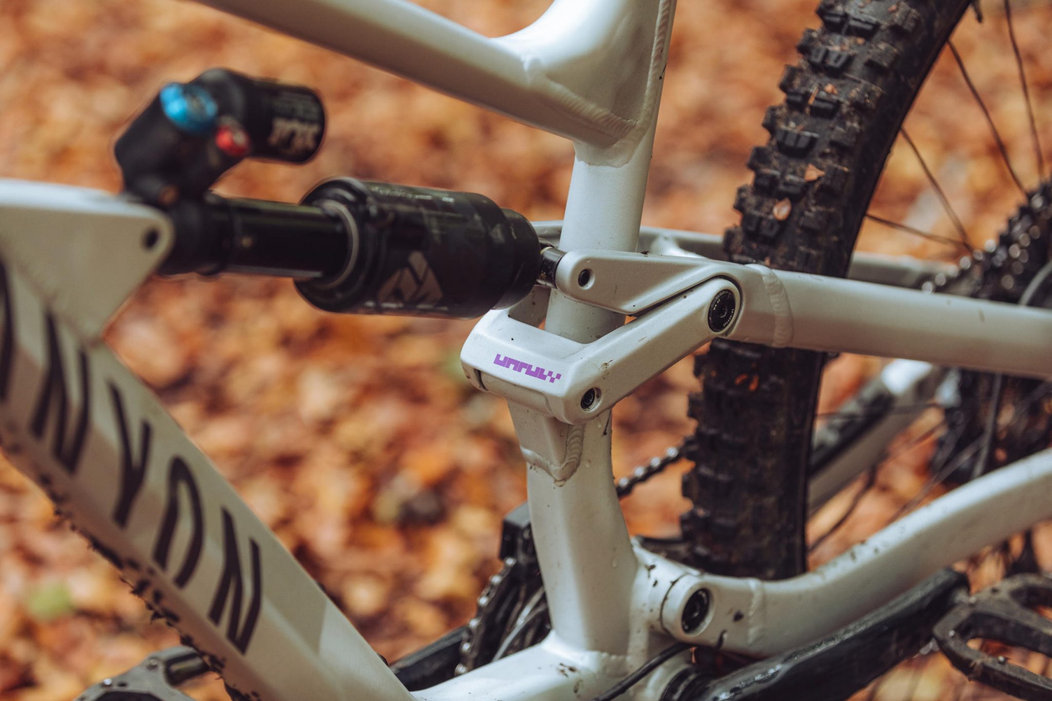 Canyon Torque 29 AL 6 first ride review - MBR