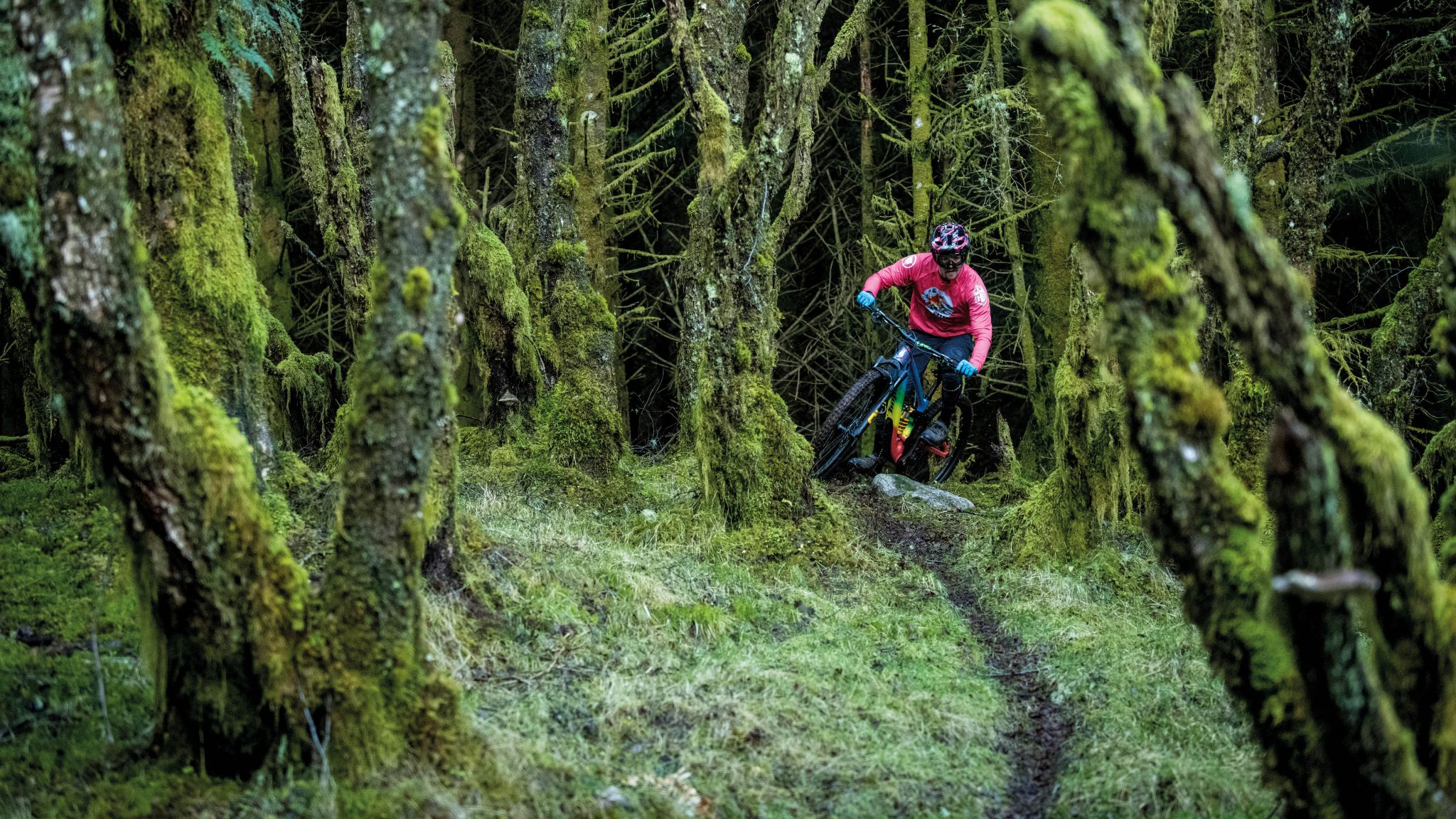 Trailblazers: The unique talents of Joe Barnes - MBR