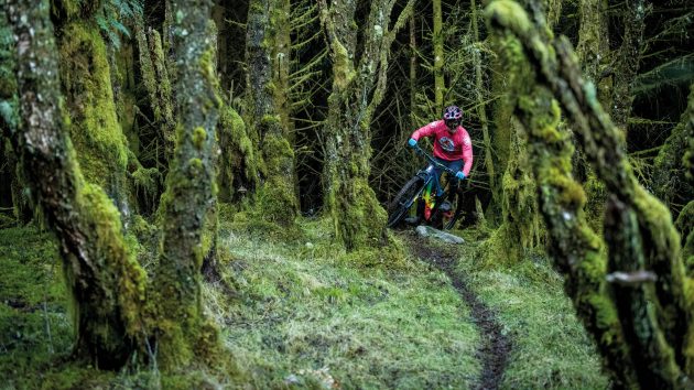 Trailblazers: The unique talents of Joe Barnes - MBR