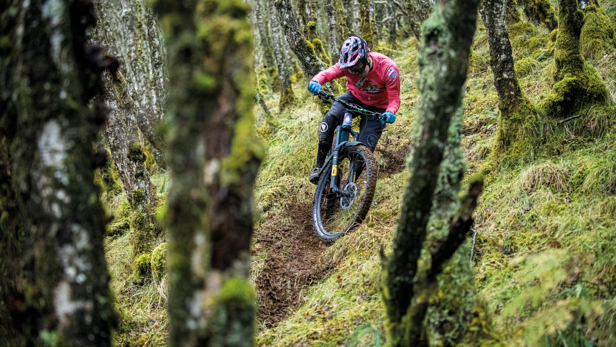 Trailblazers: The unique talents of Joe Barnes - MBR