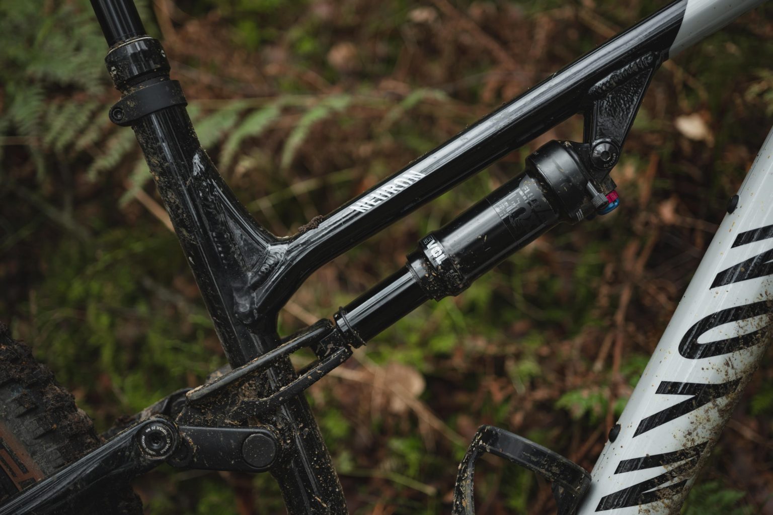 Canyon Neuron 6 (2023) review - MBR