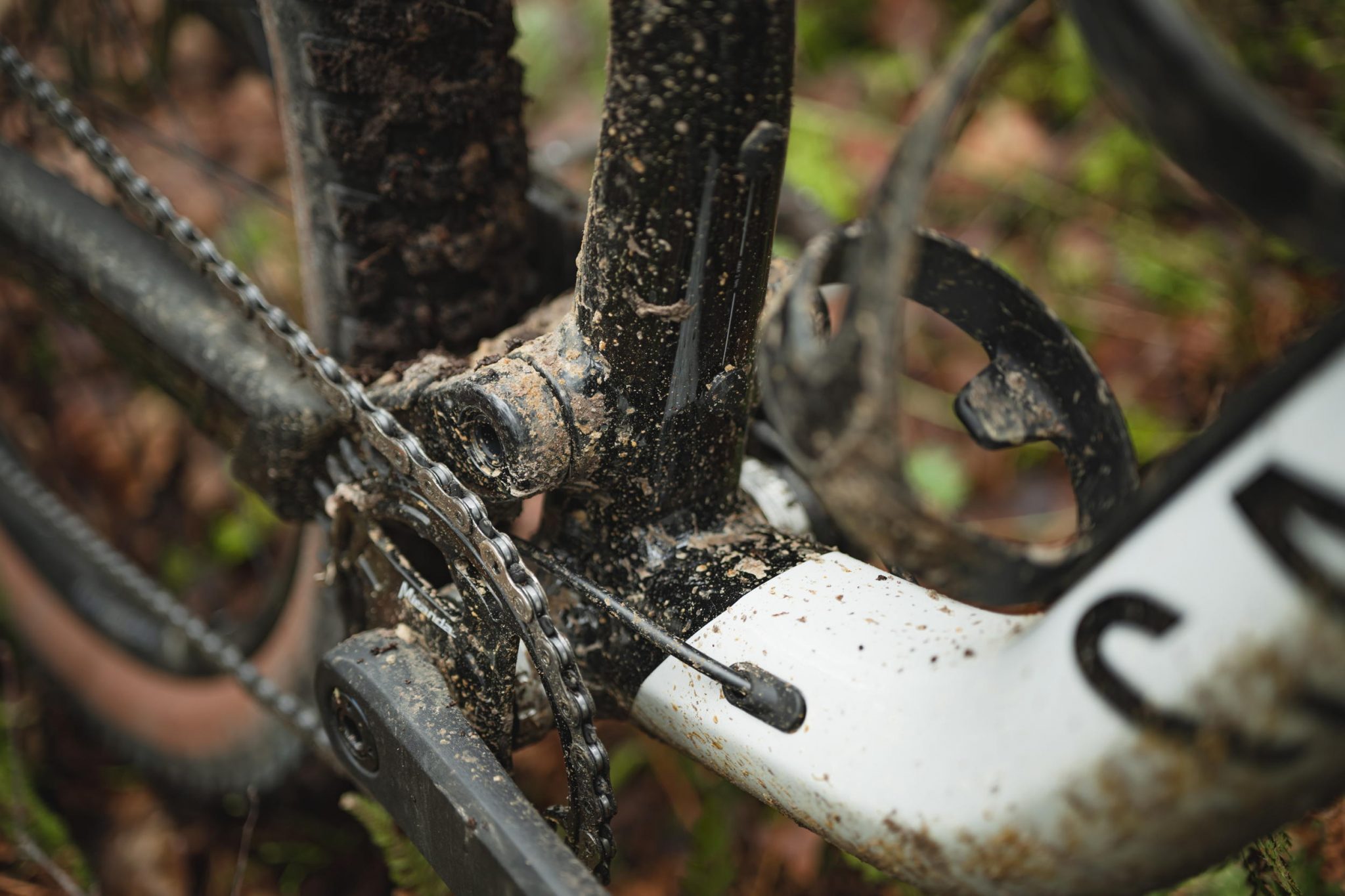 Canyon Neuron 6 (2023) review - MBR