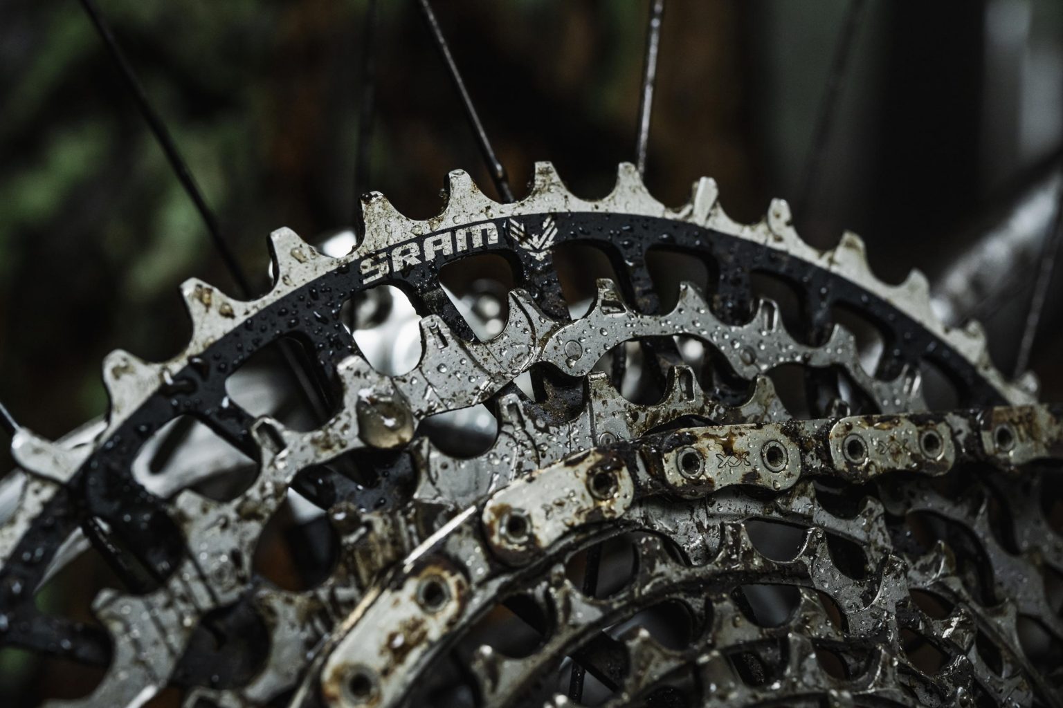 I tested SRAM's XX Eagle AXS T-Type transmission for 16 months and ...