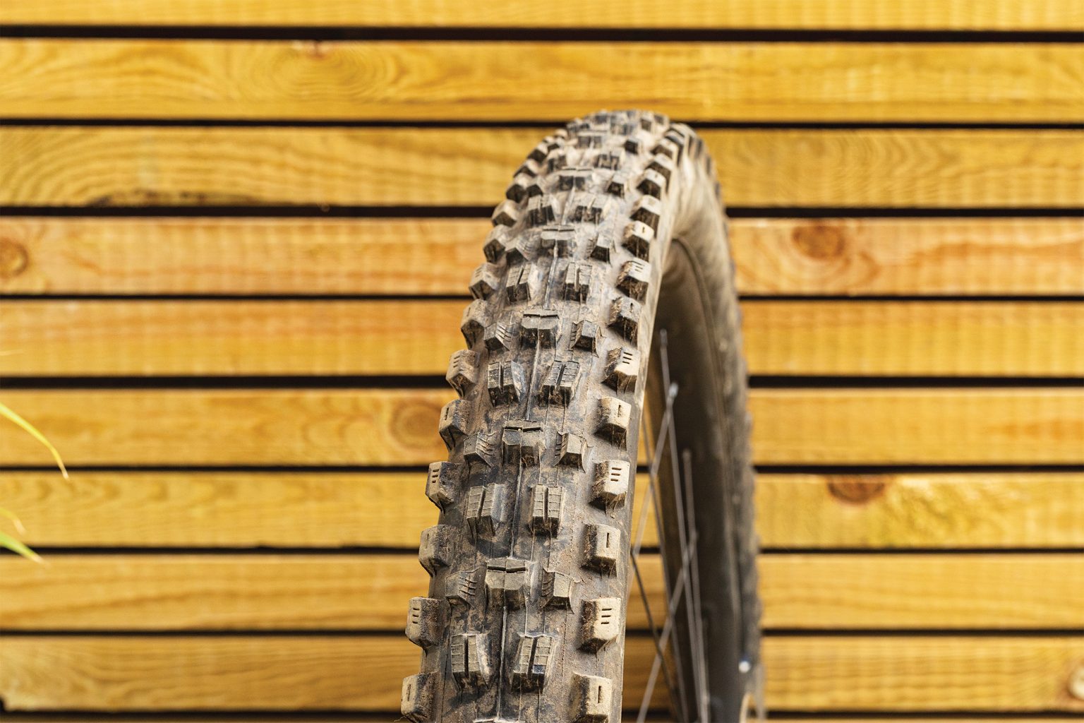 Maxxis Assegai Maxx Grip EXO+ tyres - MBR