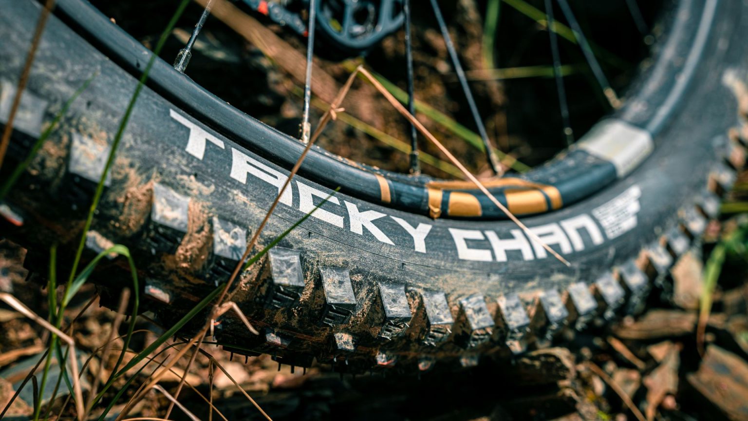 Stand down Magic Mary, the new Schwalbe Tacky Chan is here - MBR
