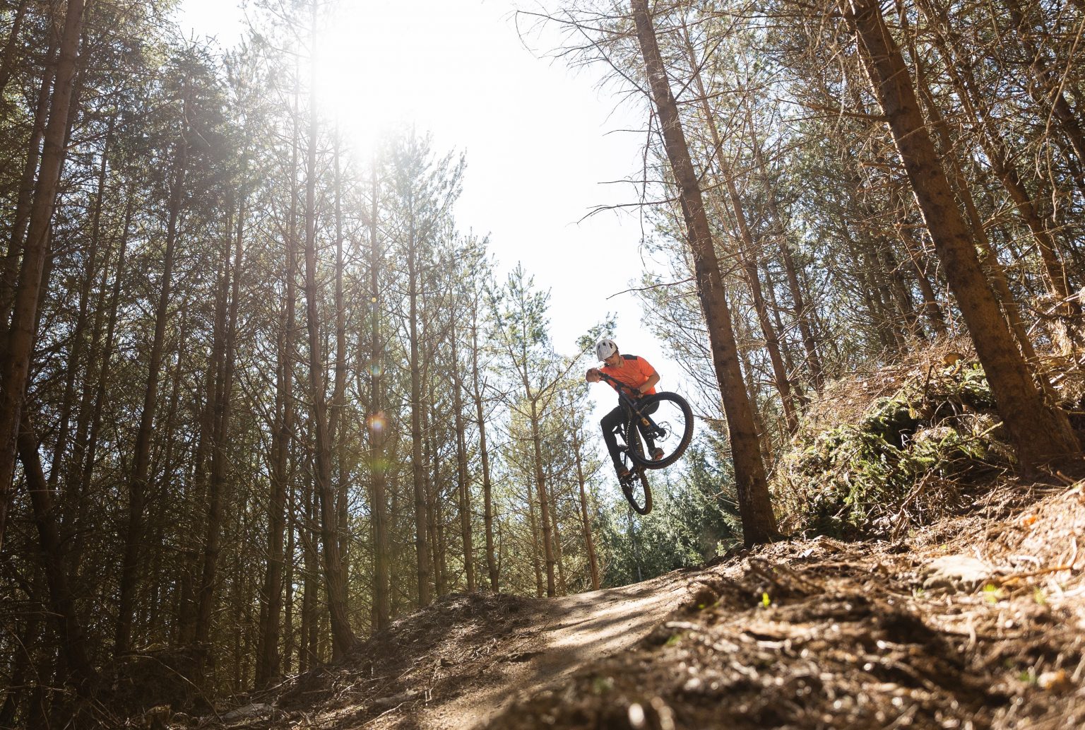 Tarland Trails – a masterclass in modern trail building - MBR