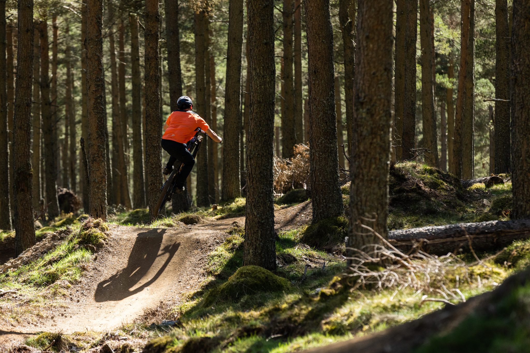 Tarland Trails – a masterclass in modern trail building - MBR