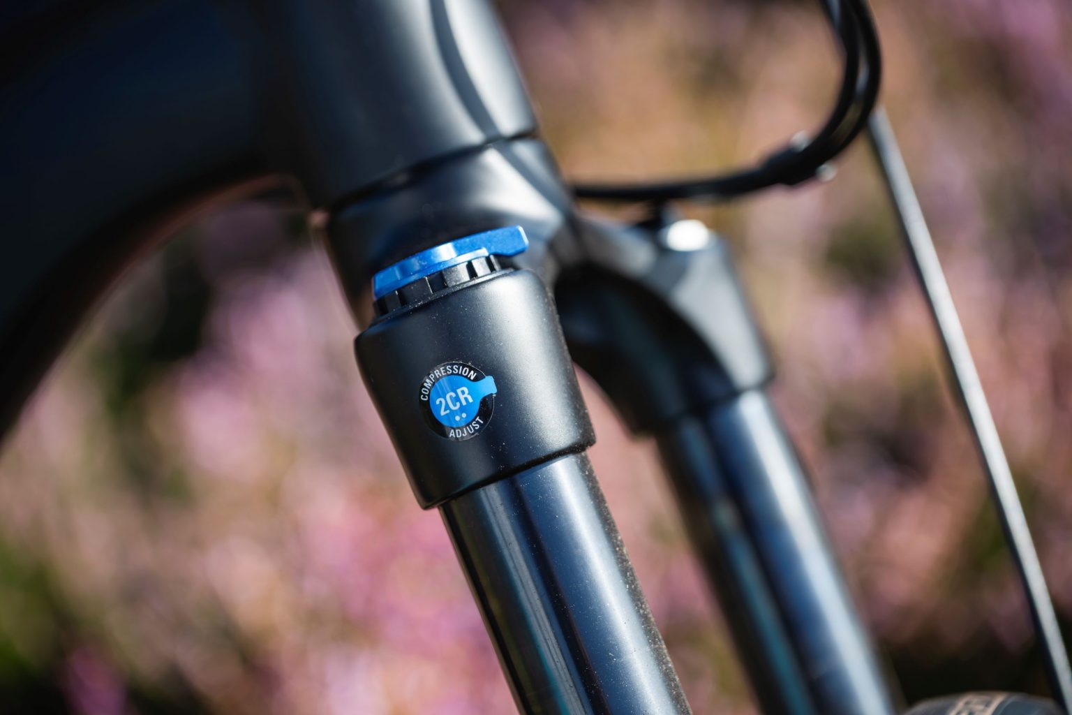 Canyon Stoic 2 review - MBR