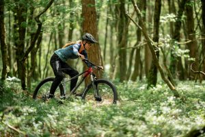 Polygon Xtrada 5 review - MBR