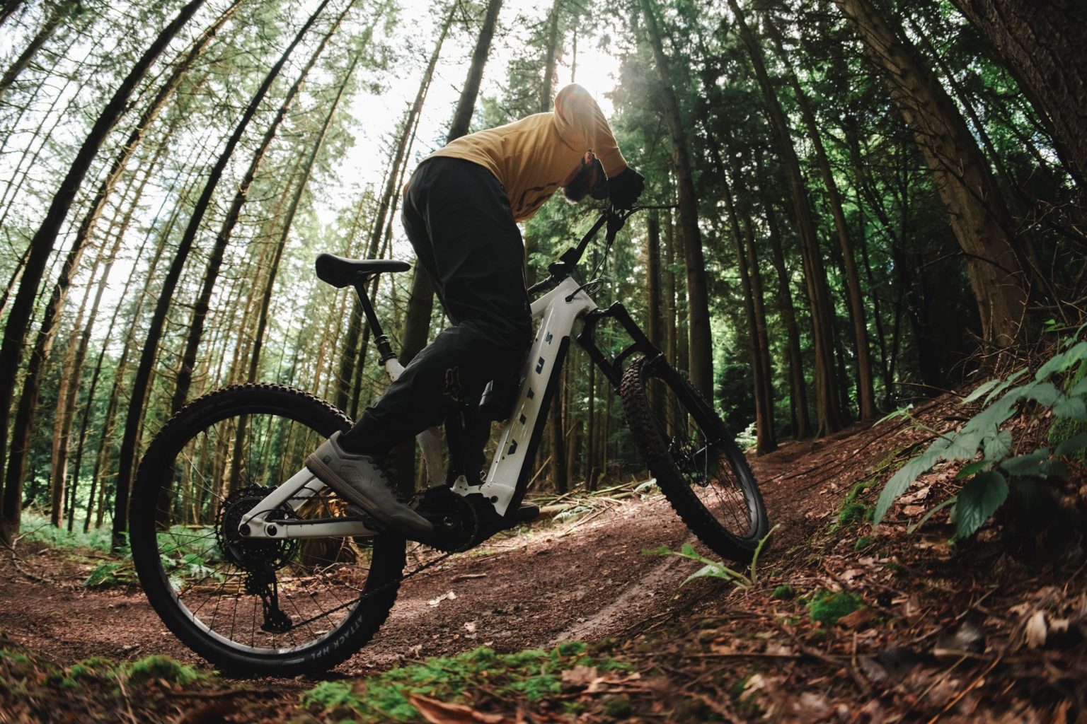 Best budget electric mountain bike: Power-up your ride without breaking ...