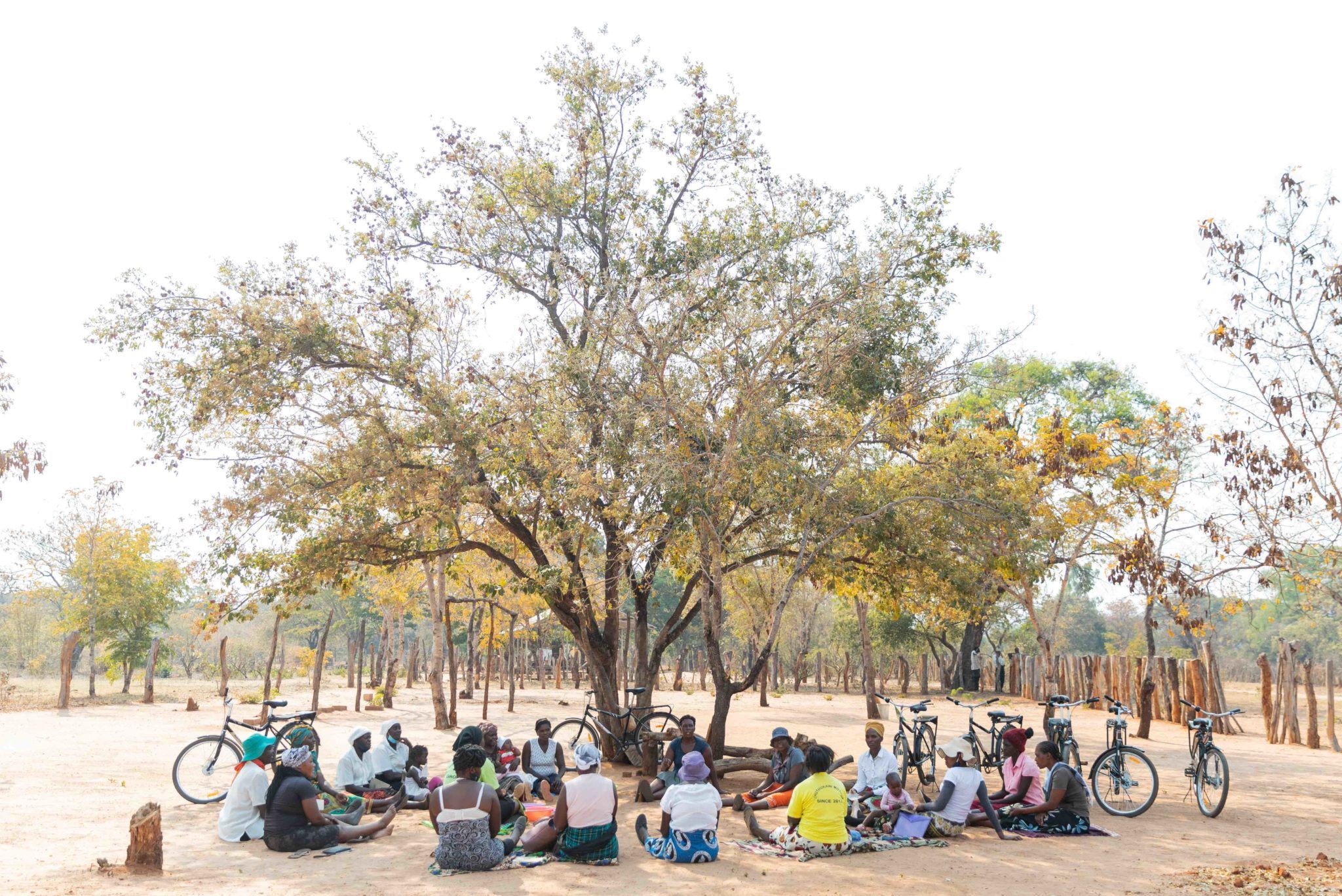 Win race-ready bikes created for UCI Cycling World Championship stars ...