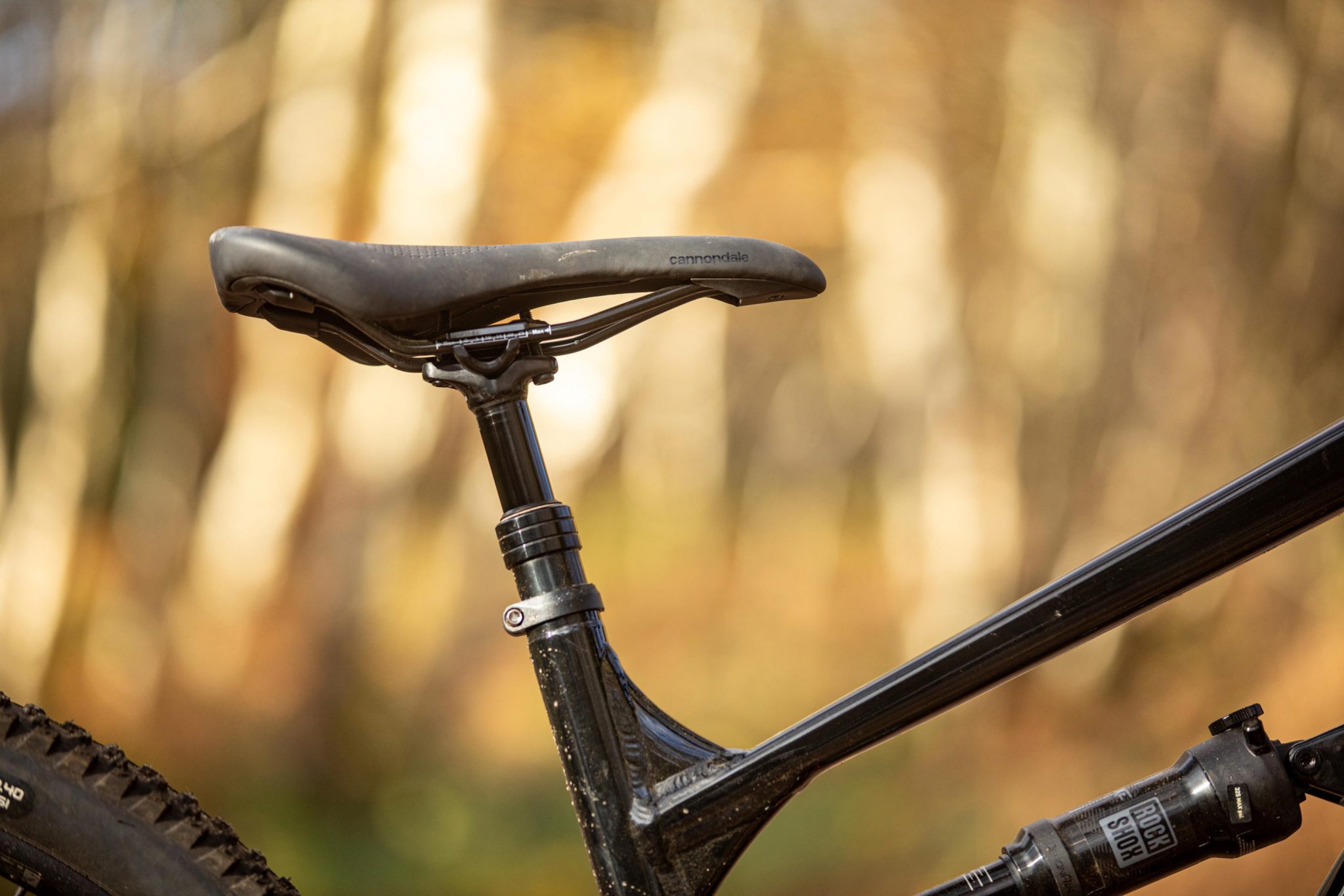 I tested Cannondale’s Habit 4, a do-it-all trail bike that costs less ...